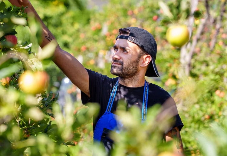 Salewa Garden: Più di un semplice orto | Salewa Bivac